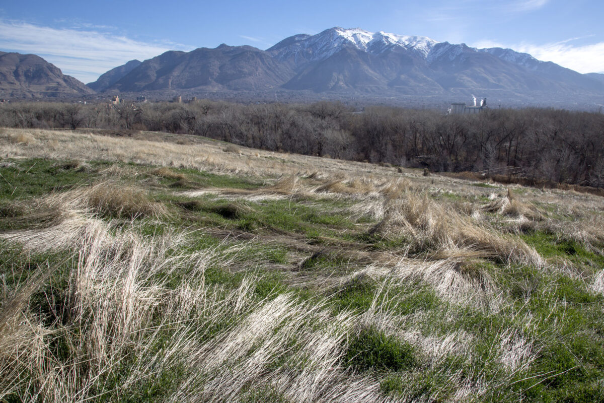 Turning landfills into parks in Weber County | News, Sports, Jobs ...